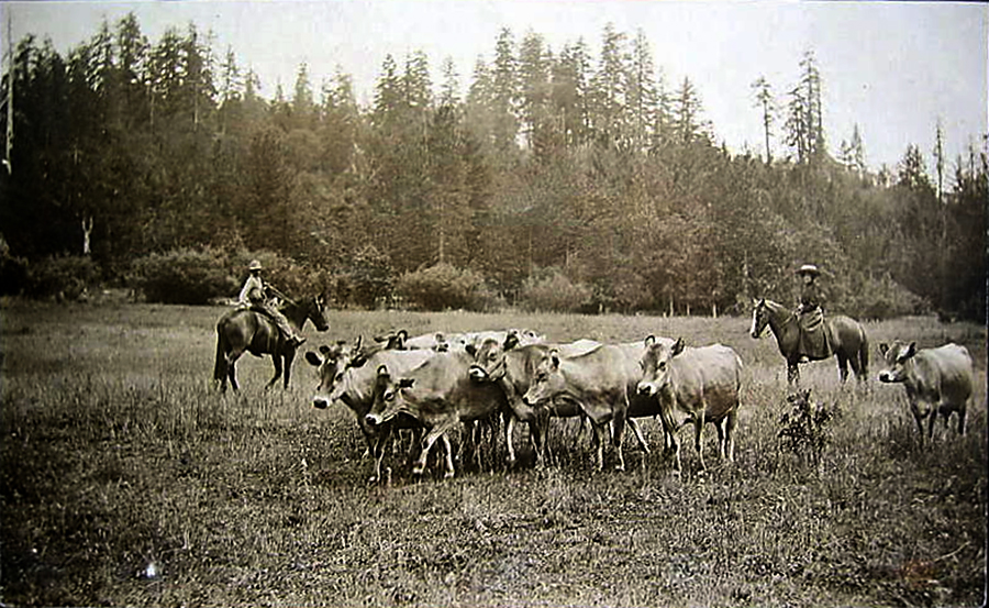 The 1870s in Lake County | Stories, Legends and Lies of Oregon # ...